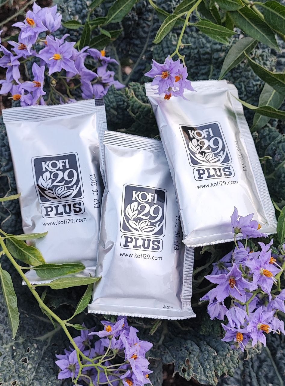 Kofi 29 Plus (UK) - Energising Herbal-Based Sports Performance Drink ...